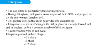 cell division.pptx