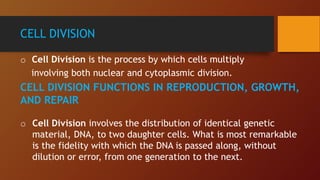 CELL DIVISION.ppt