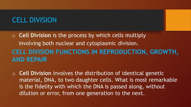 CELL DIVISION.ppt