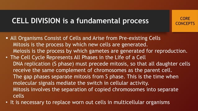 CELL DIVISION.ppt