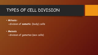 CELL DIVISION.ppt