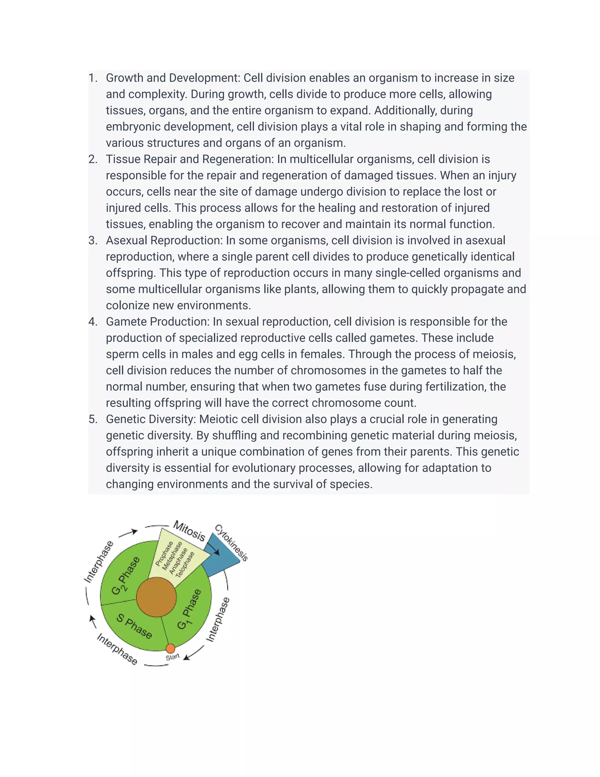 cell division.pdf