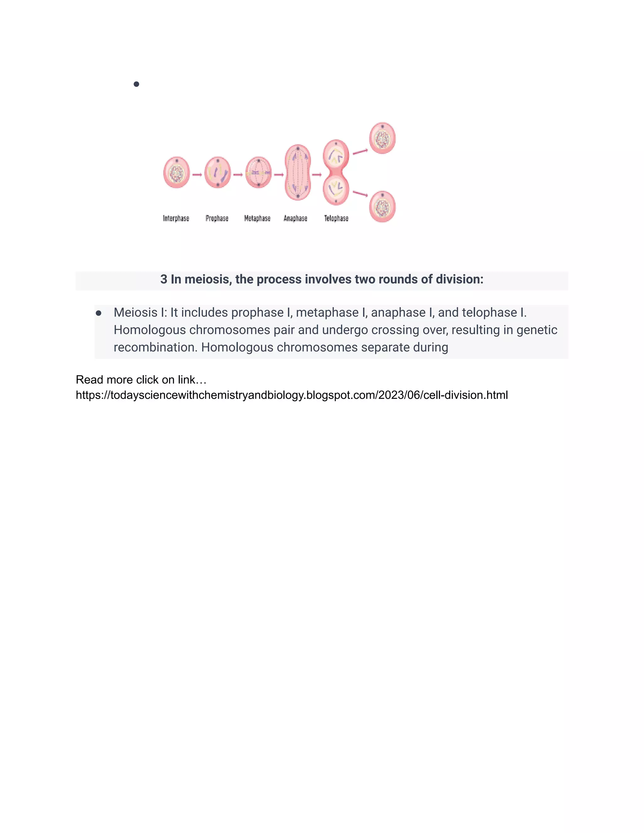 cell division.pdf