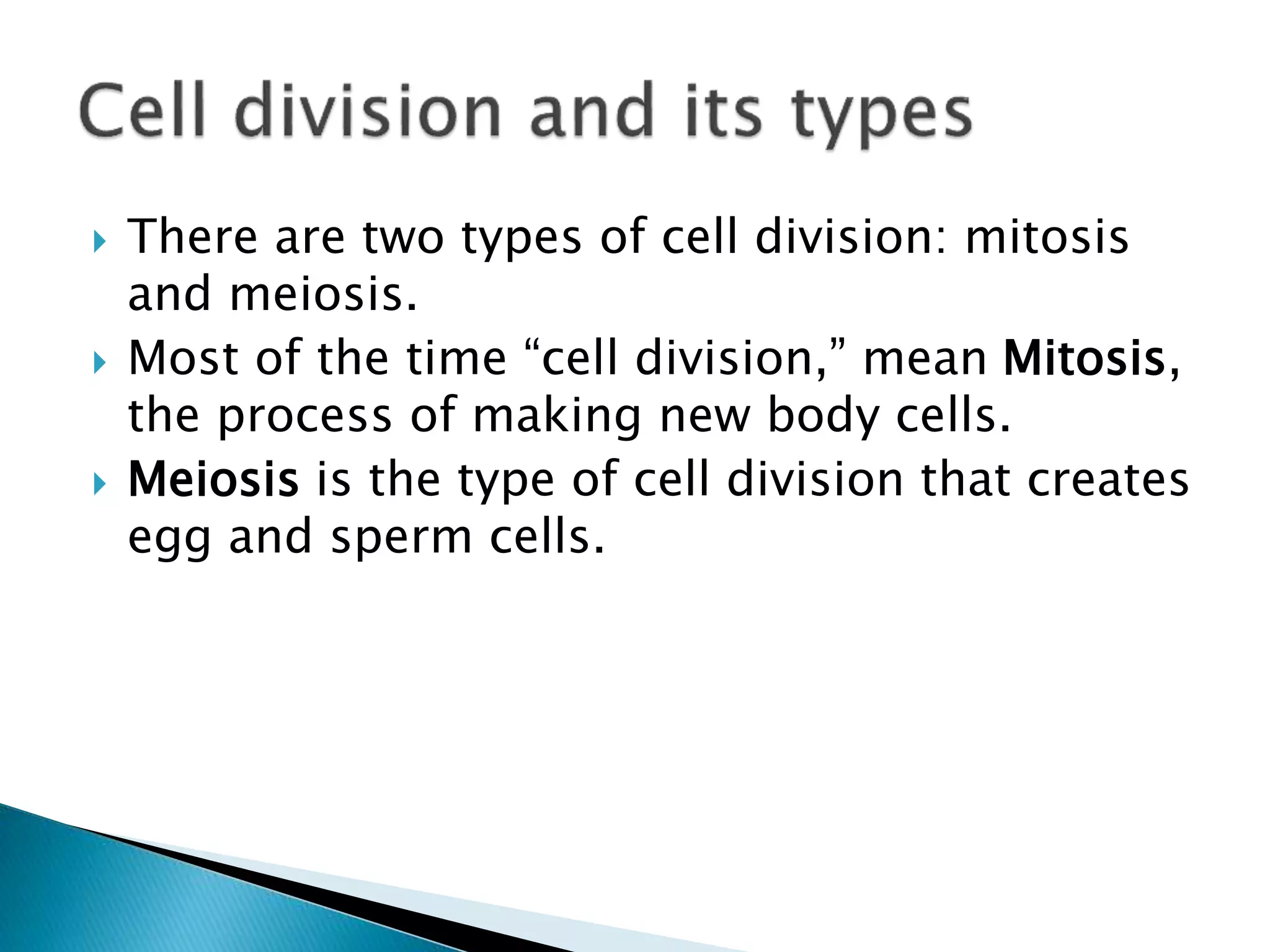CELL DIVISION | PPTX