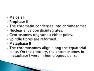 CELL DIVISION | PPTX
