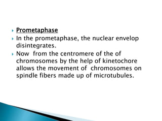 CELL DIVISION | PPTX