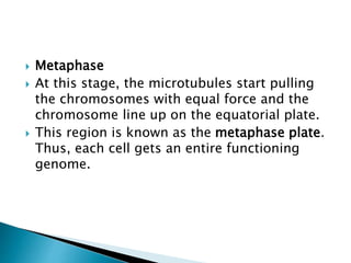 CELL DIVISION | PPTX