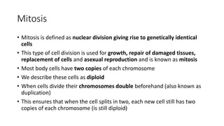 Cell Division, International GCSE, biology | PPTX