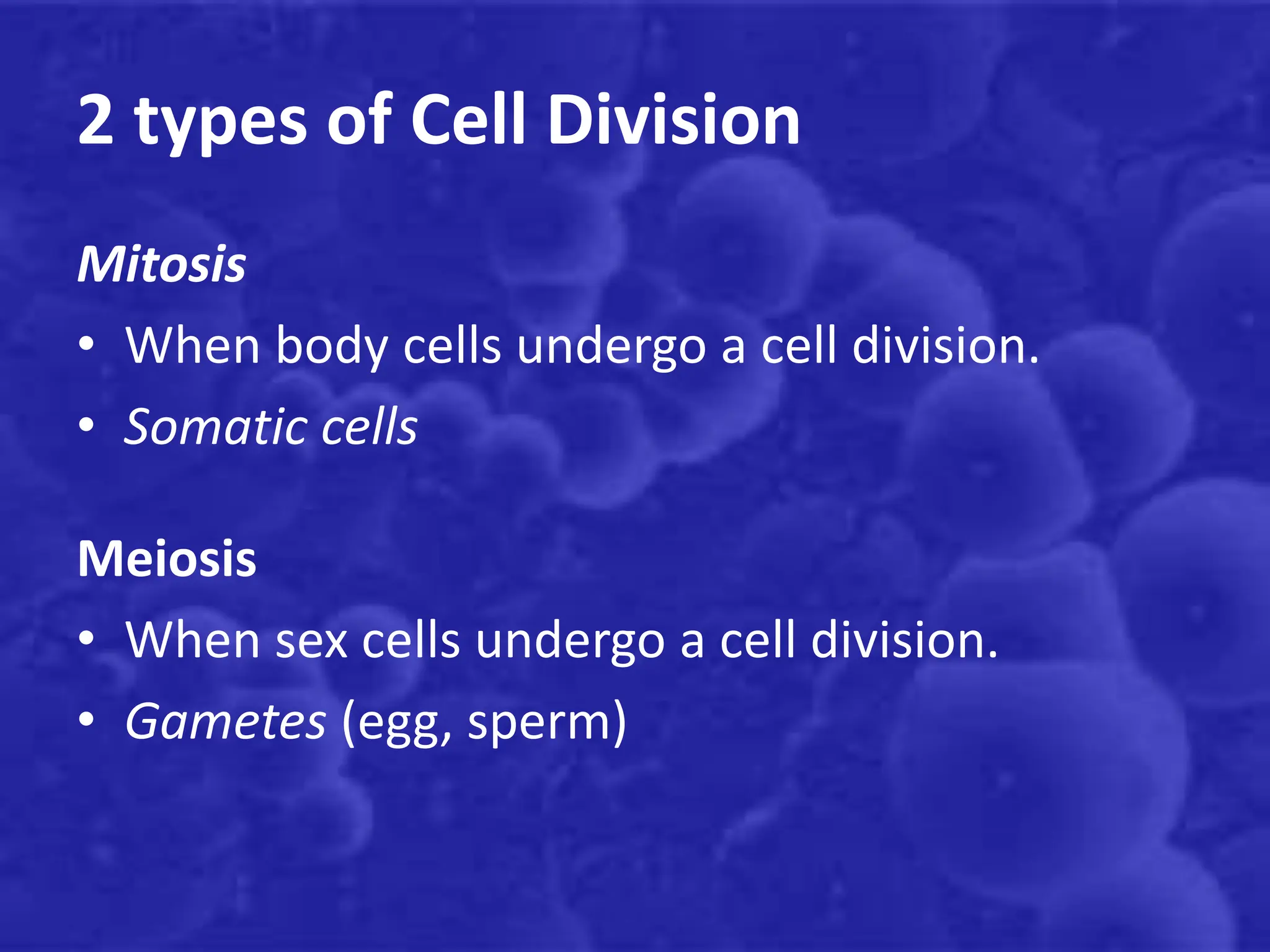cell division by zoencute science 8.pptx