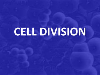 cell division by zoencute science 8.pptx