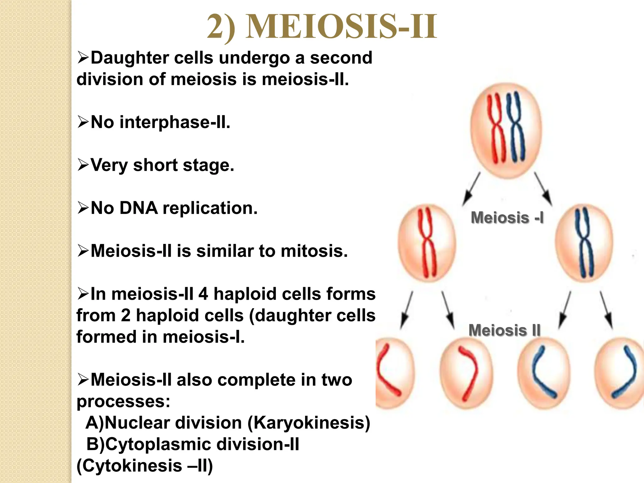CELL DIVISION- Decoding Cell Division: The Dance of Life's Continuity ...