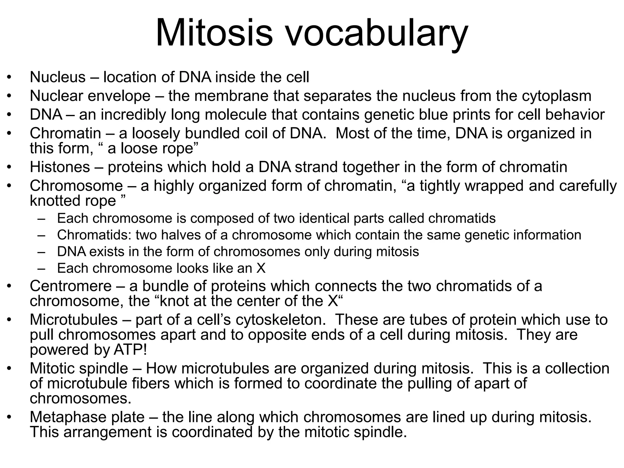 Cell division in human ( M - phase and interphase) | PPT