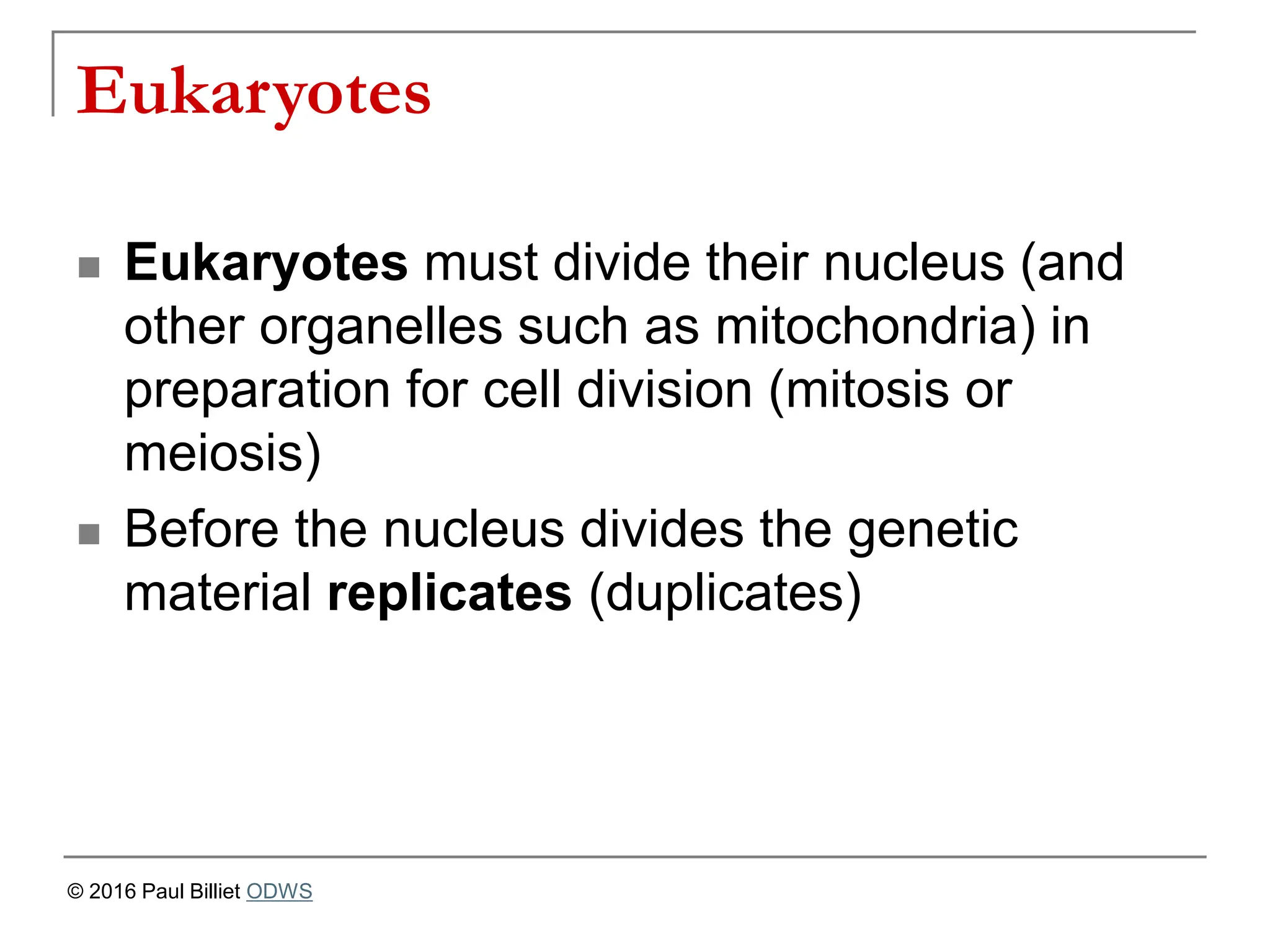 Cell Division Ppt