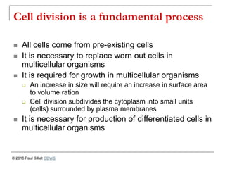 CELL DIVISION-----------------------.ppt