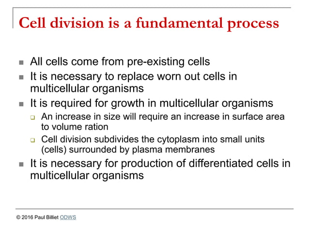 CELL DIVISION-----------------------.ppt