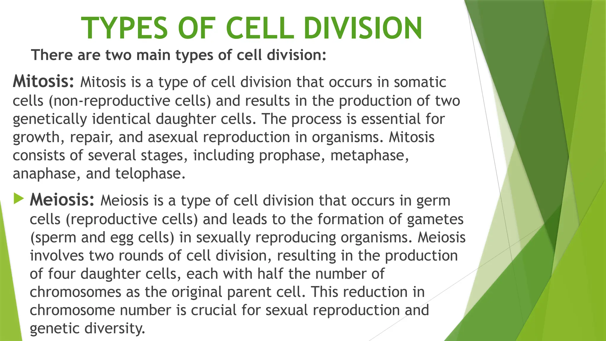 Different Types of Cell Division and it's Importance.pptx