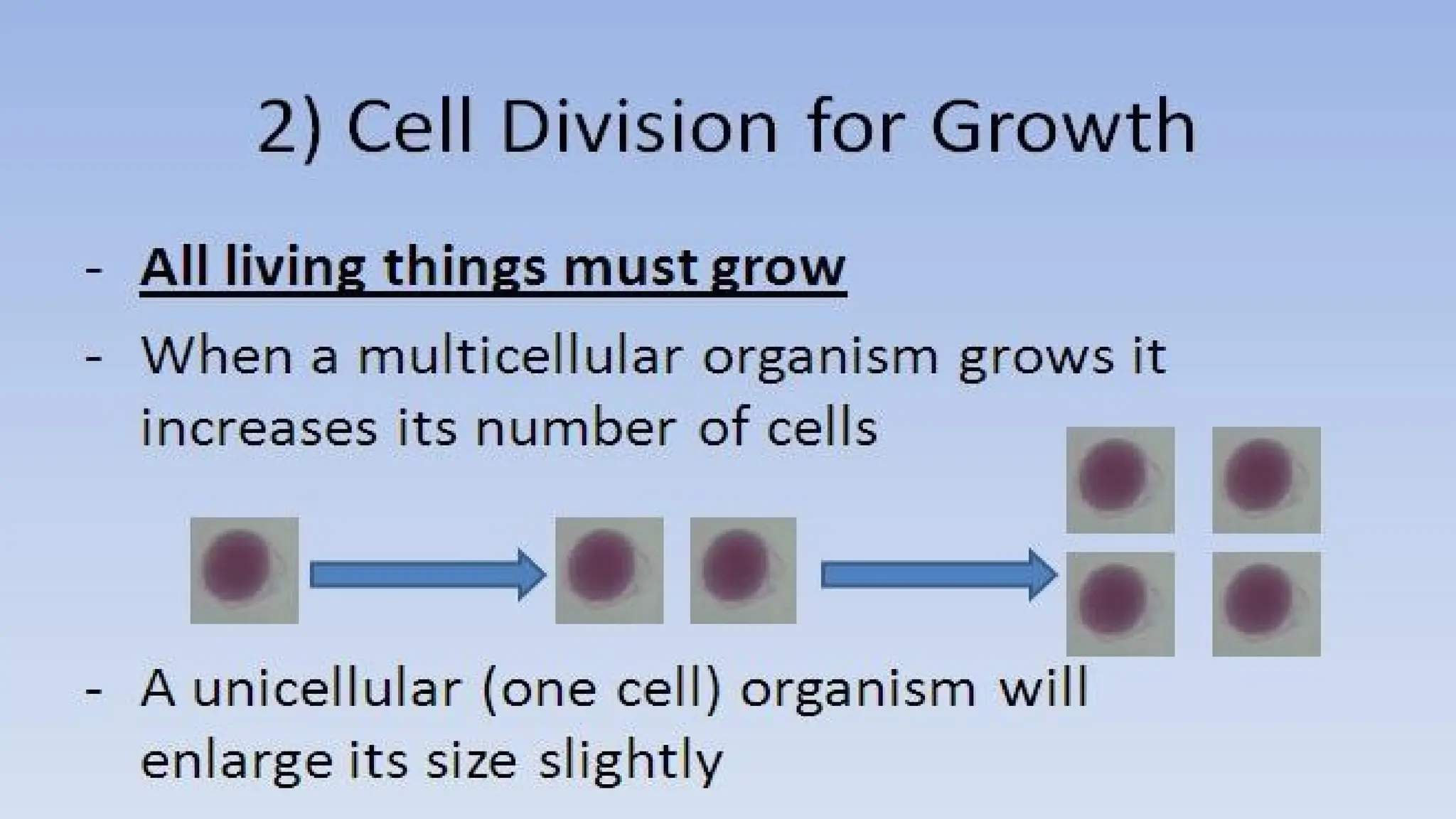 Different Types of Cell Division and it's Importance.pptx