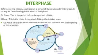 Different Types of Cell Division and it's Importance.pptx