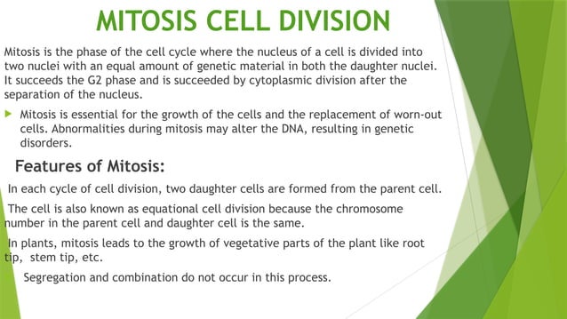 Different Types of Cell Division and it's Importance.pptx