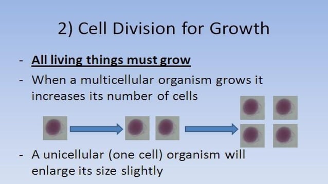 Different Types of Cell Division and it's Importance.pptx