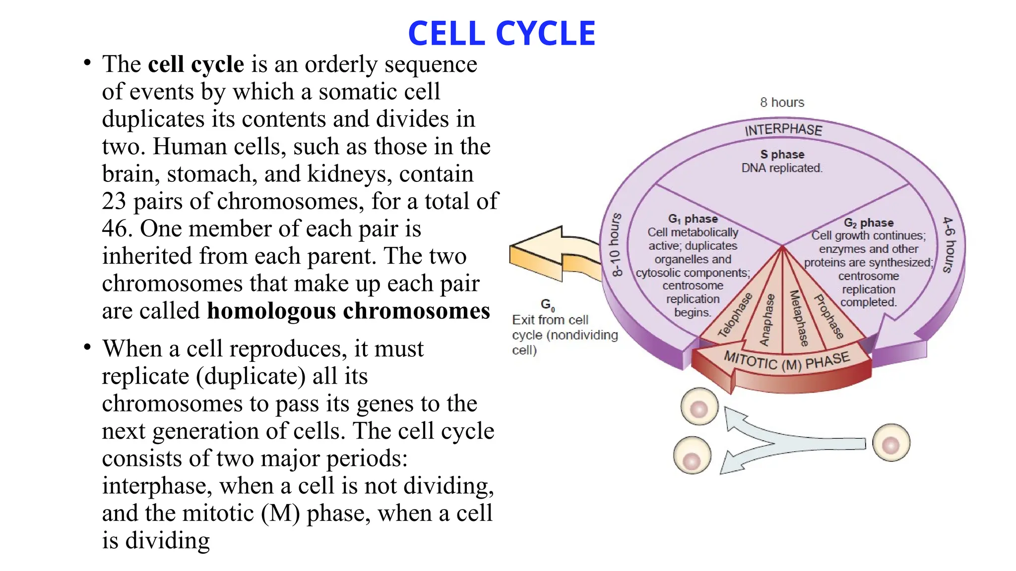 CELL DIVISION (MITOSIS AND MEIOSIS): CELL PHYSIOLOGY | PPTX ...