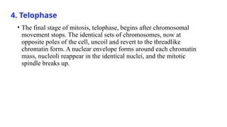 CELL DIVISION (MITOSIS AND MEIOSIS): CELL PHYSIOLOGY | PPTX