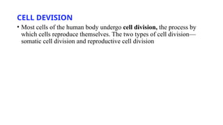 CELL DIVISION (MITOSIS AND MEIOSIS): CELL PHYSIOLOGY | PPTX
