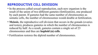 CELL DIVISION (MITOSIS AND MEIOSIS): CELL PHYSIOLOGY | PPTX ...