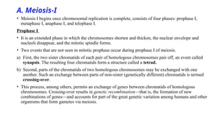 CELL DIVISION (MITOSIS AND MEIOSIS): CELL PHYSIOLOGY | PPTX