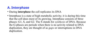 CELL DIVISION (MITOSIS AND MEIOSIS): CELL PHYSIOLOGY | PPTX