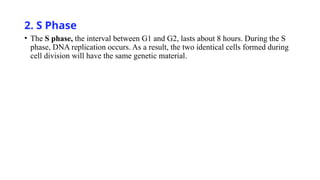 CELL DIVISION (MITOSIS AND MEIOSIS): CELL PHYSIOLOGY | PPTX
