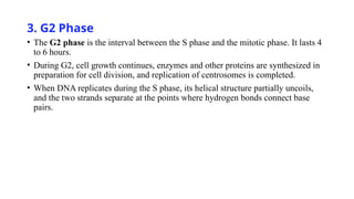 CELL DIVISION (MITOSIS AND MEIOSIS): CELL PHYSIOLOGY | PPTX