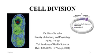 Cell Division, Cell Cycle and Abnormal Cell Divisionpptx | PPTX