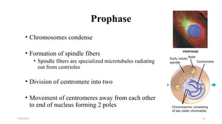 Cell Division, Cell Cycle and Abnormal Cell Divisionpptx | PPTX
