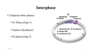 Cell Division, Cell Cycle and Abnormal Cell Divisionpptx | PPTX
