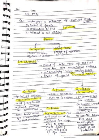 Cell Division chapter 11 th important chapter | PDF
