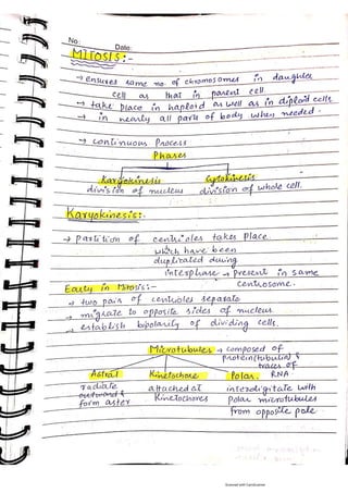 Cell Division chapter 11 th important chapter | PDF
