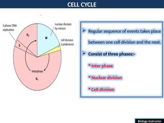 cell division.pptx mitosis meiosis| cell division | PPTX