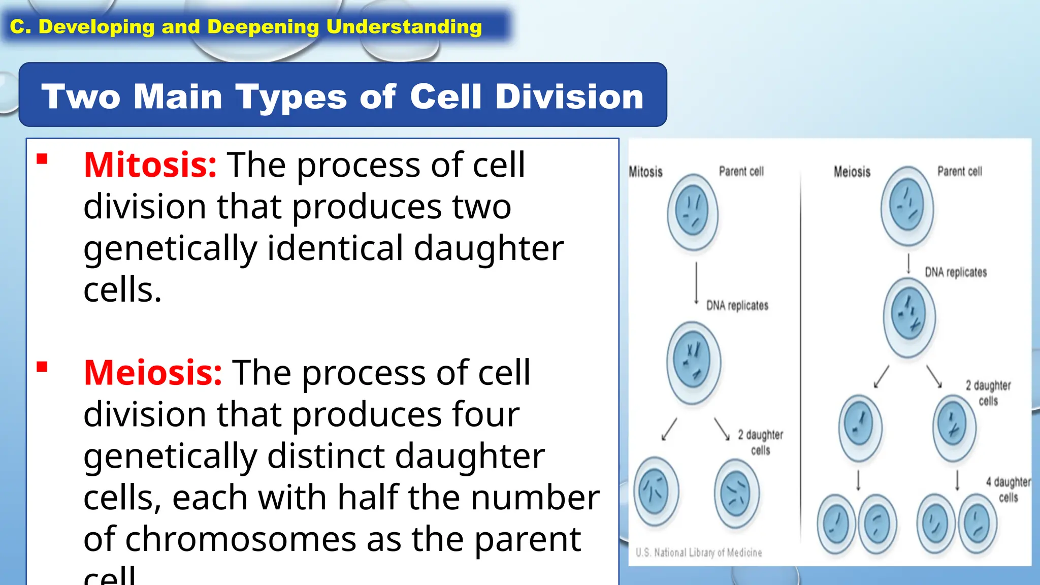 Cell Division: Cell Cycle, Mitosis and Meiosis | PPTX