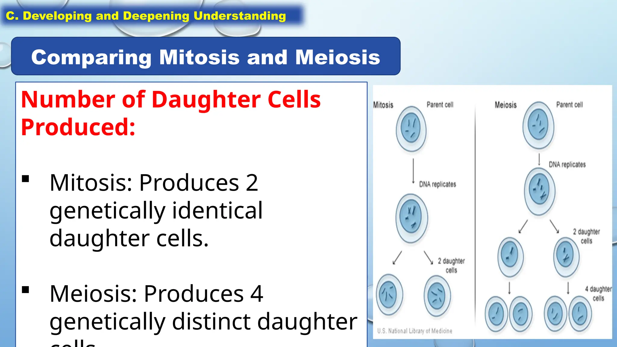 Cell Division: Cell Cycle, Mitosis and Meiosis | PPTX