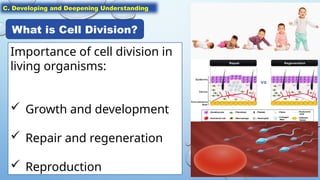 Cell Division: Cell Cycle, Mitosis and Meiosis | PPTX
