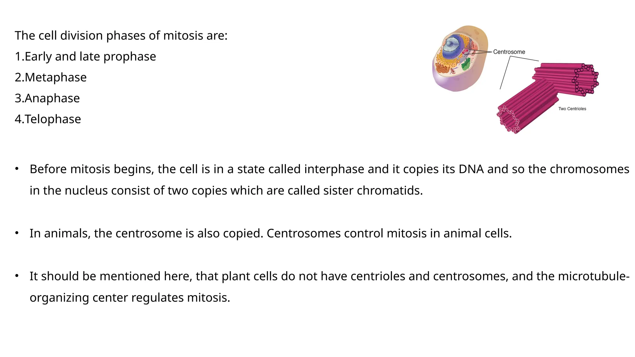 brief discussion of Cell Division of biology.pptx