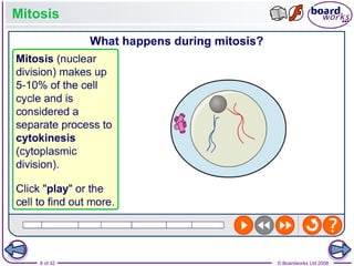 Comprehensive Overview of the Cell Cycle, Mitosis, and Meiosis ...