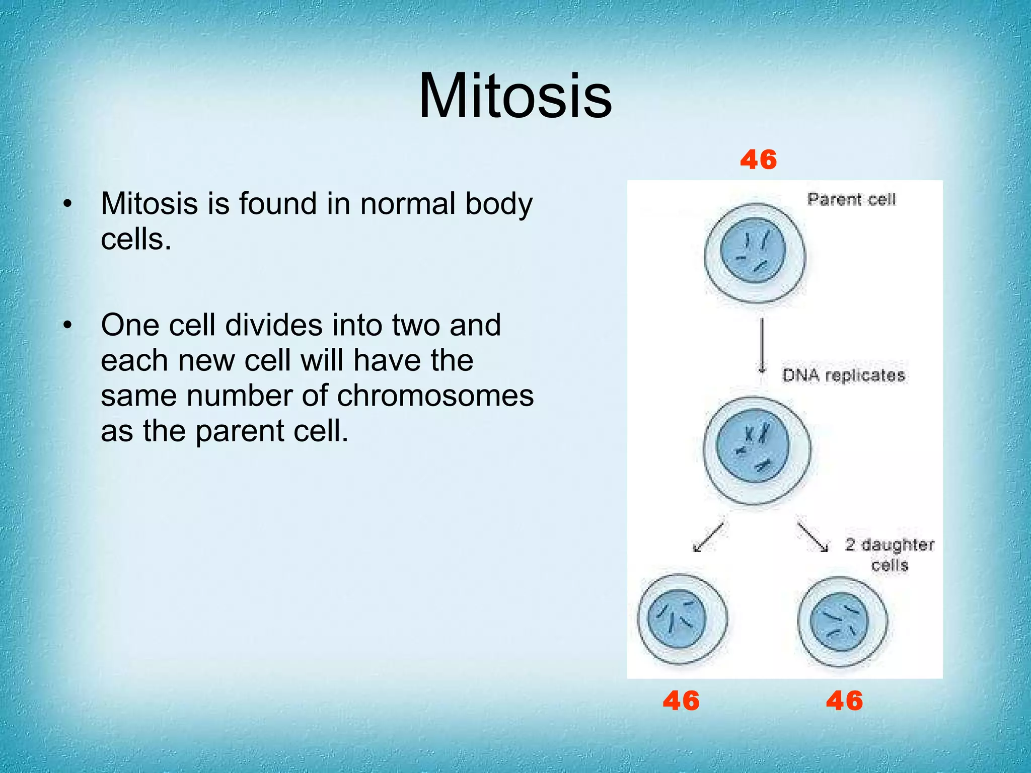 Cell division basics | PPT