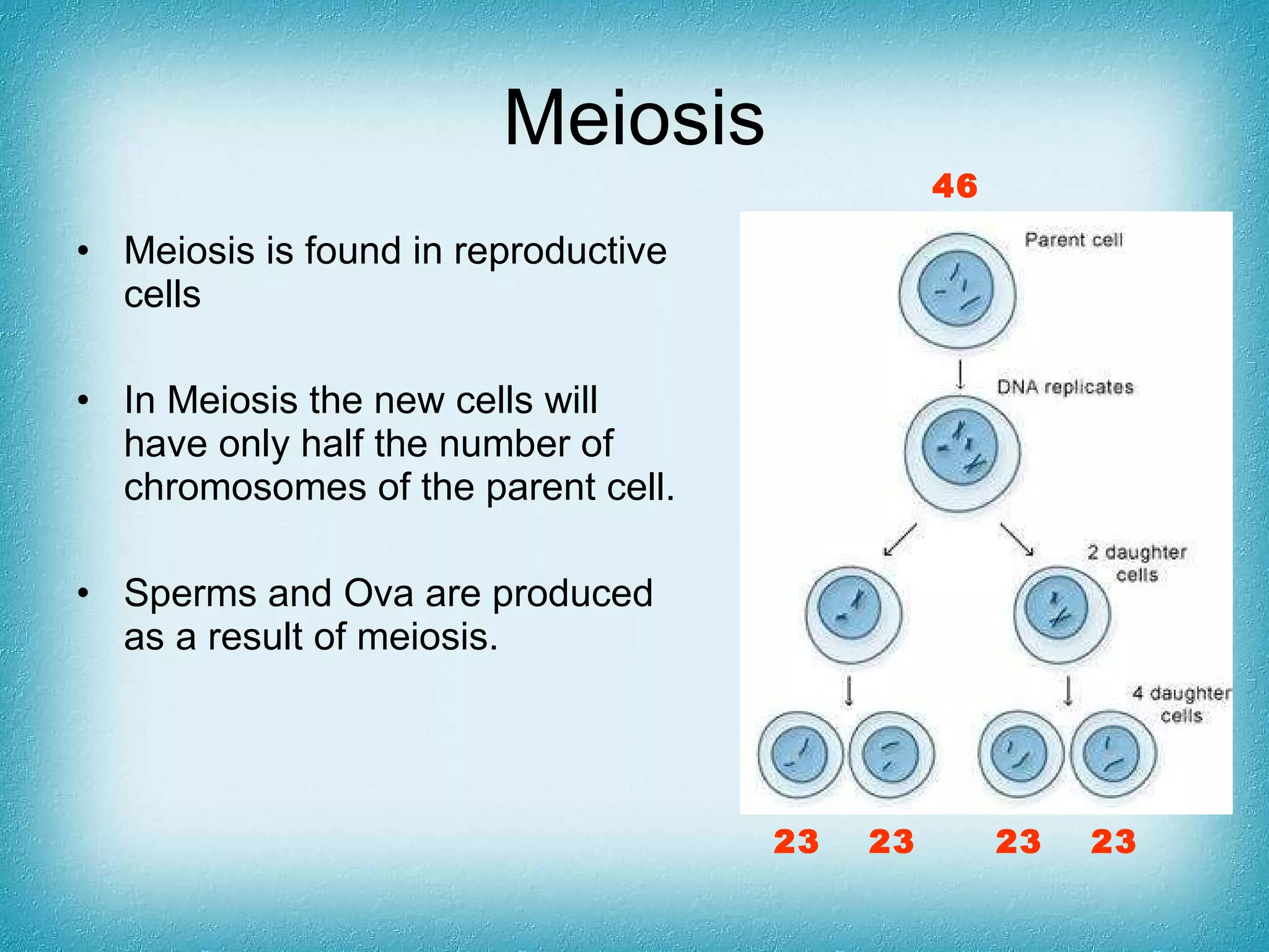 Cell division basics | PPT