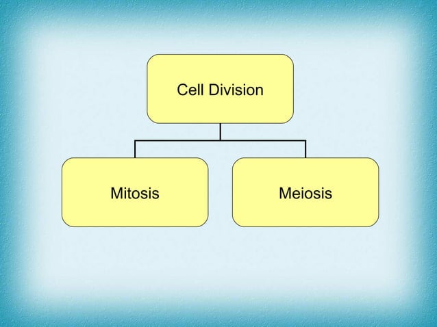 Cell division basics | PPT