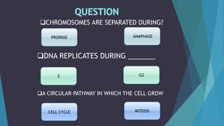 Cell division gaudia pauleene joy m. | PPT