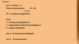 Cell Division--- Meiosis---Tarini..pptx