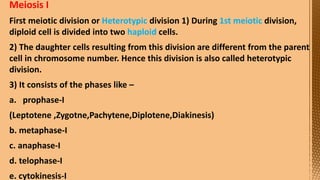 Cell Division--- Meiosis---Tarini..pptx