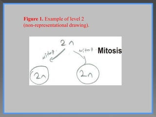 Cell division mitosis | PPTX